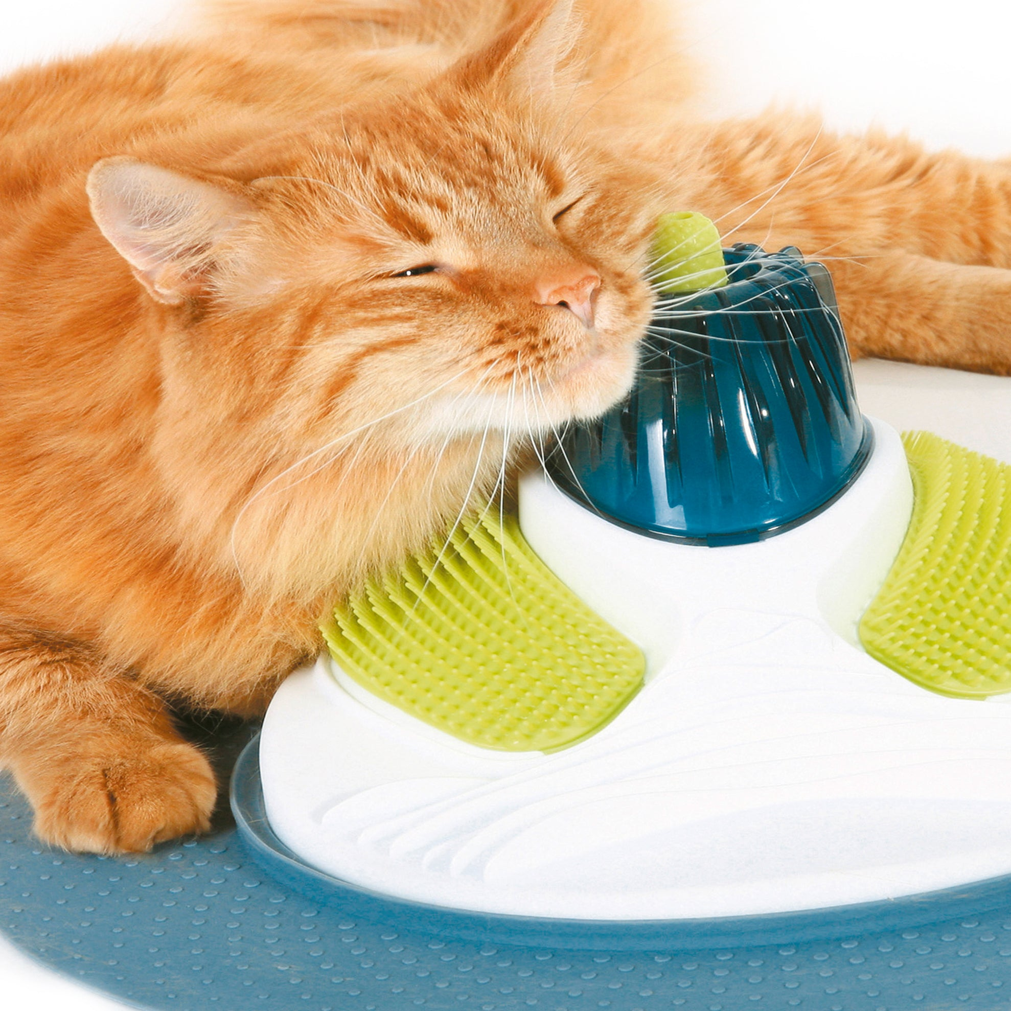 Cat Toys and Enrichment – Whisker Park - Feline Exclusive Boutique